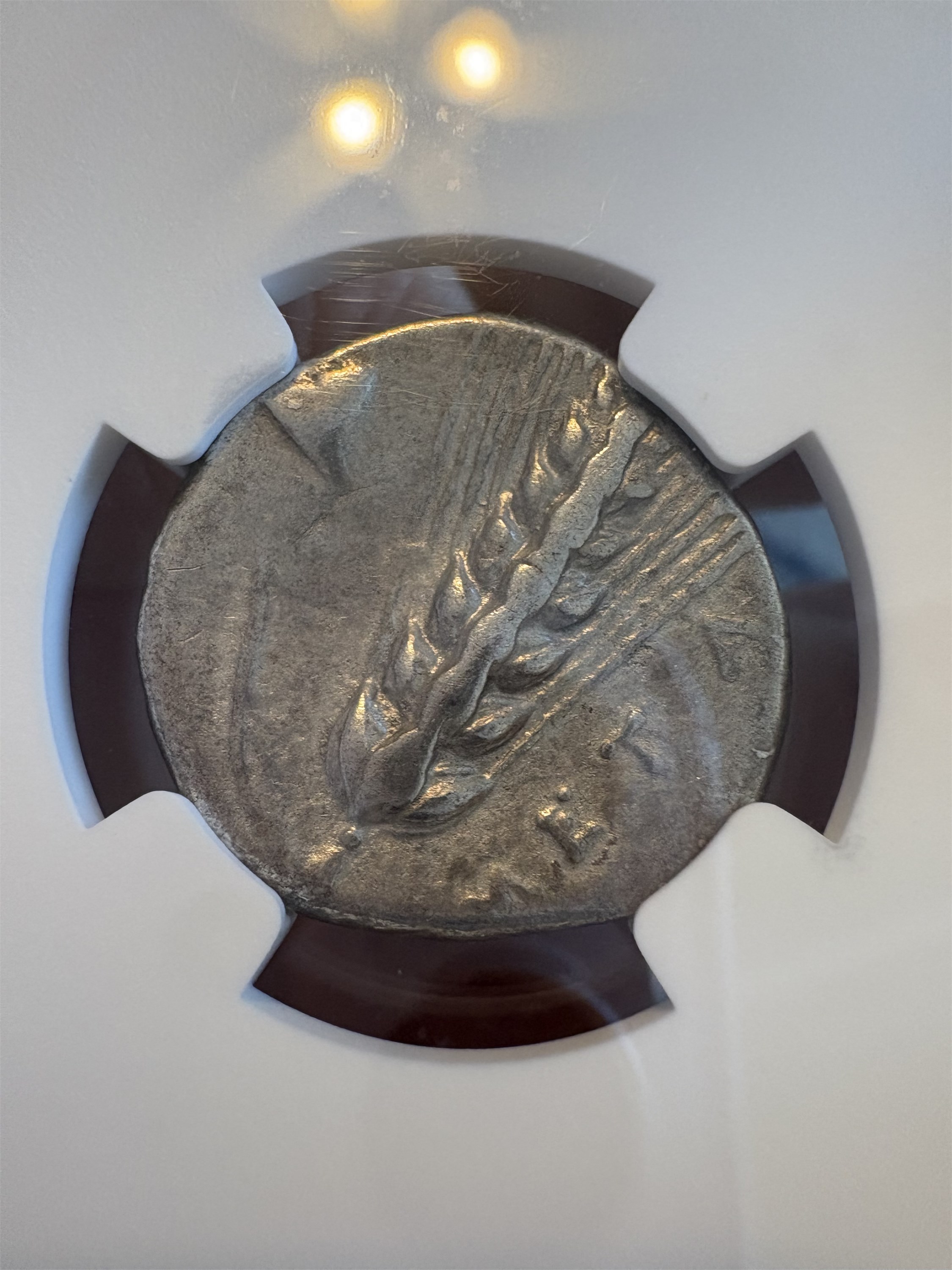 L5, Your Low Fee Ancient Coin Marketplace - LUCANIA. Metapontum. Ca ...